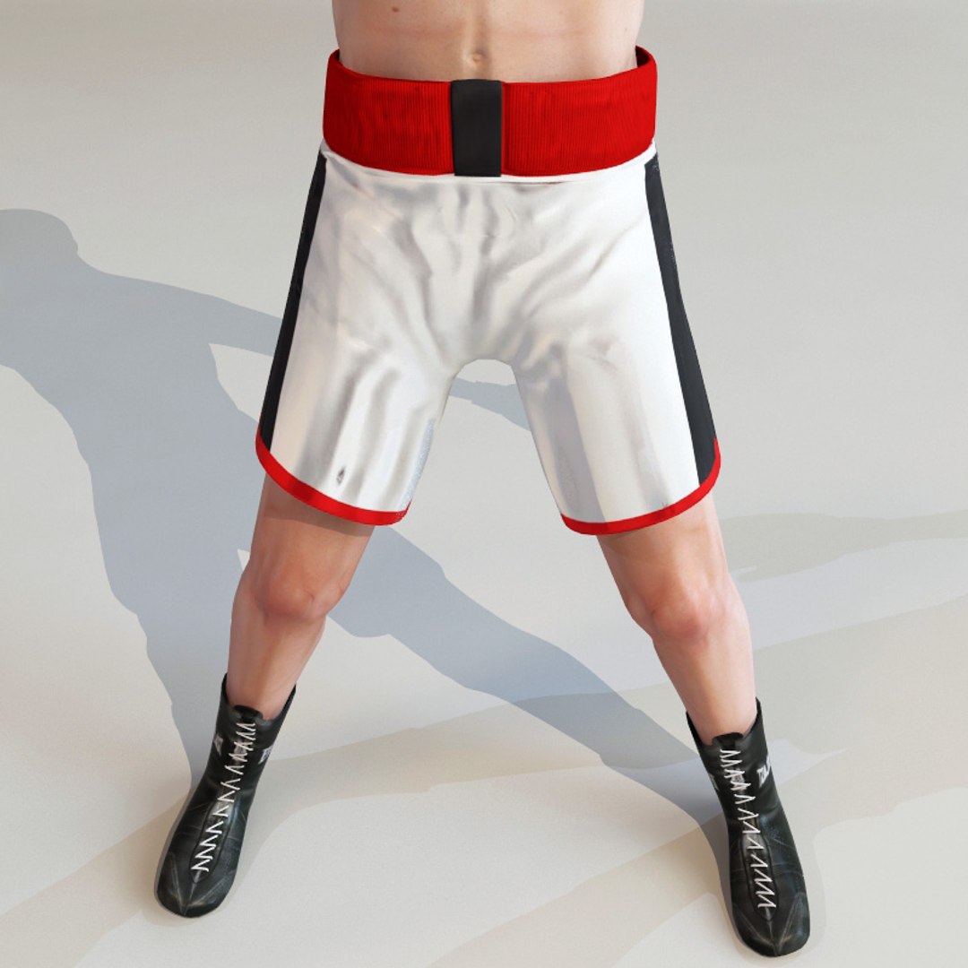 Boxer Rigged Animation 3d Model