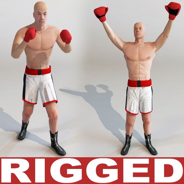 boxer rigged animation 3d model