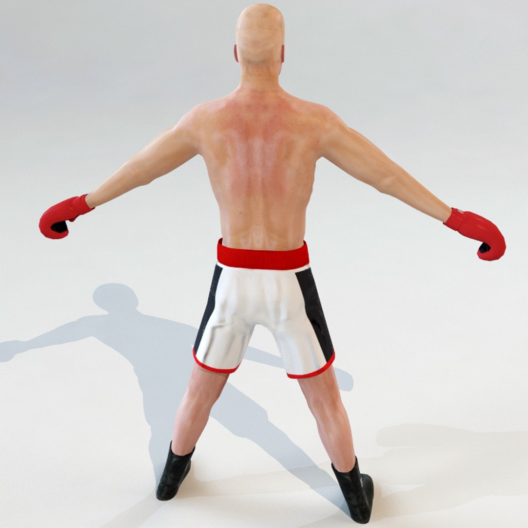 Boxer Rigged Animation 3d Model