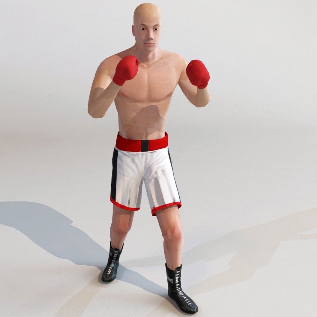 Boxer Rigged Animation 3d Model