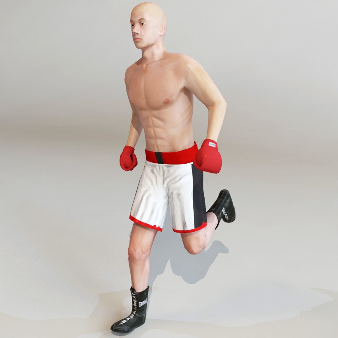 Boxer Rigged Animation 3d Model
