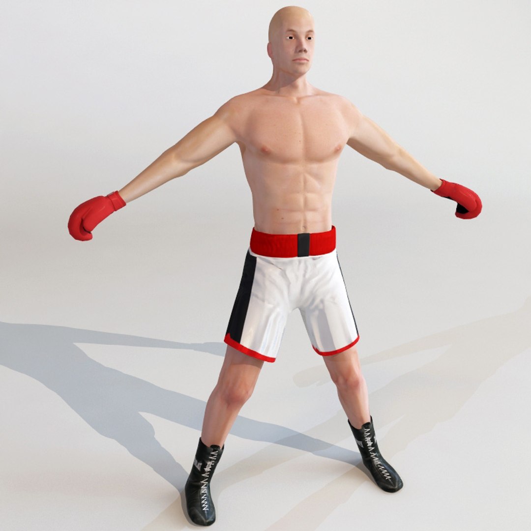 Boxer Rigged Animation 3d Model