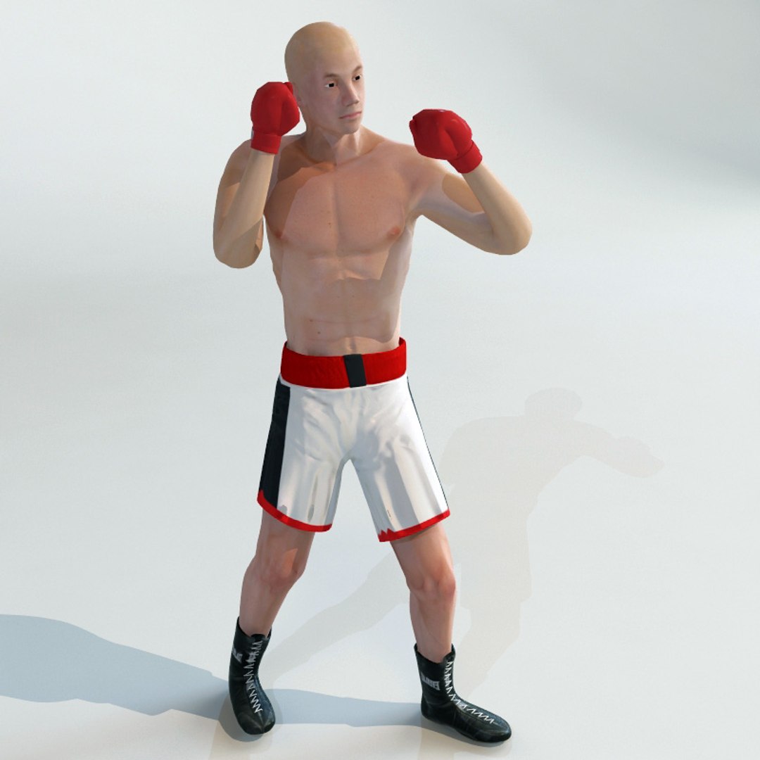 Boxer Rigged Animation 3d Model