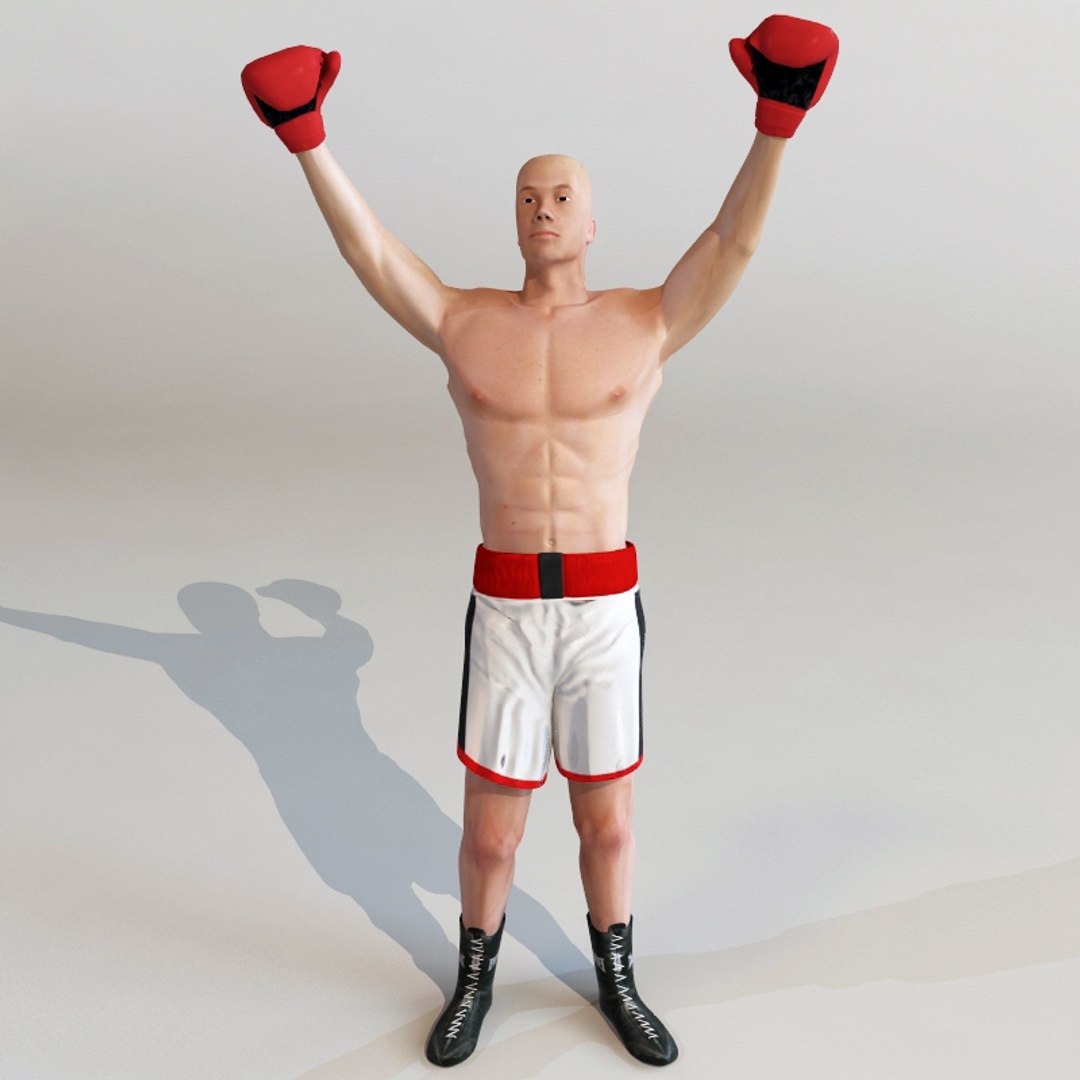 Boxer Rigged Animation 3d Model