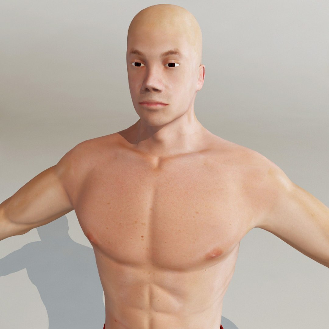 Boxer Rigged Animation 3d Model