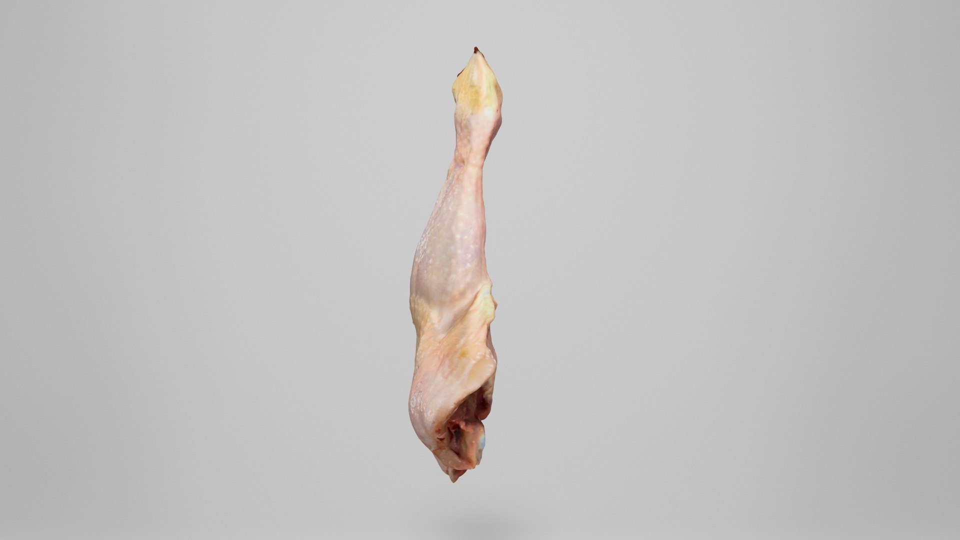 3D Raw Chicken Drumstick 3D Model Model - TurboSquid 2291273