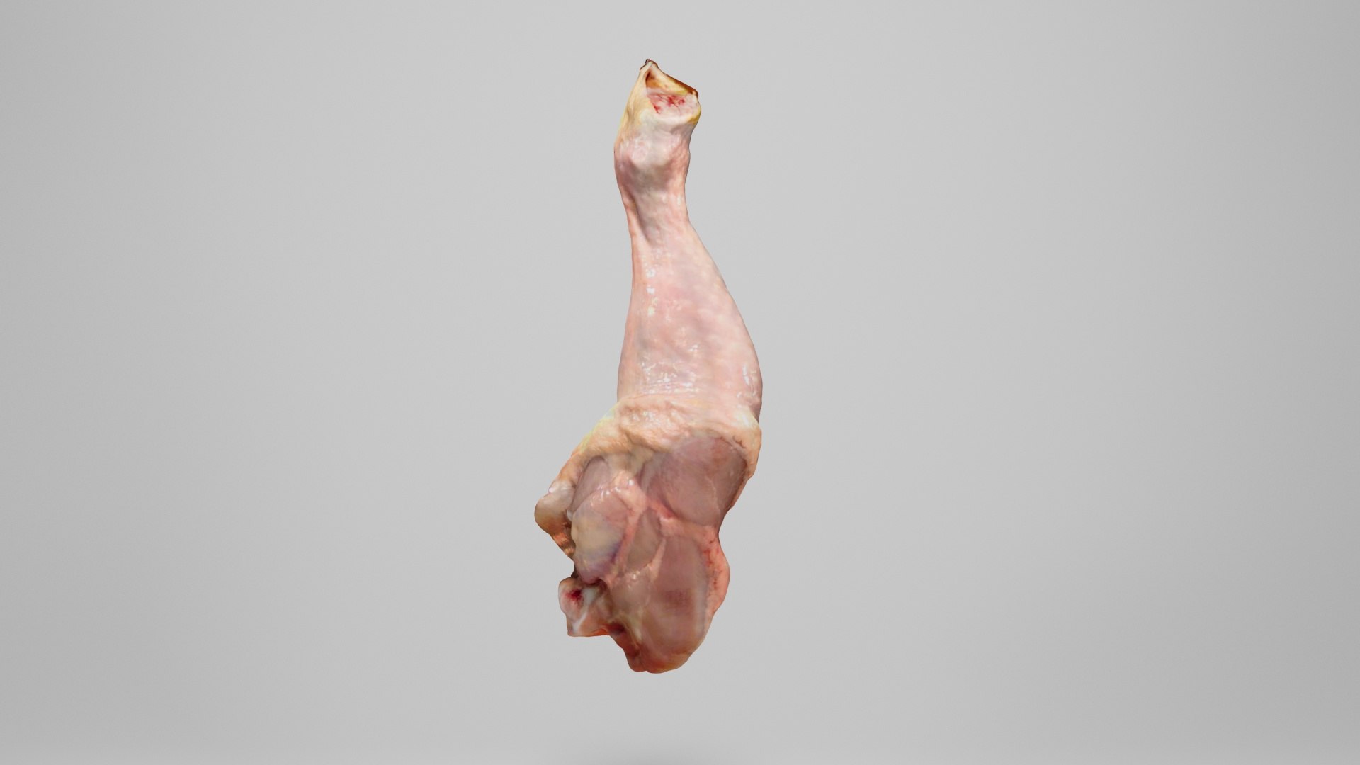 3D Raw Chicken Drumstick 3D Model Model - TurboSquid 2291273