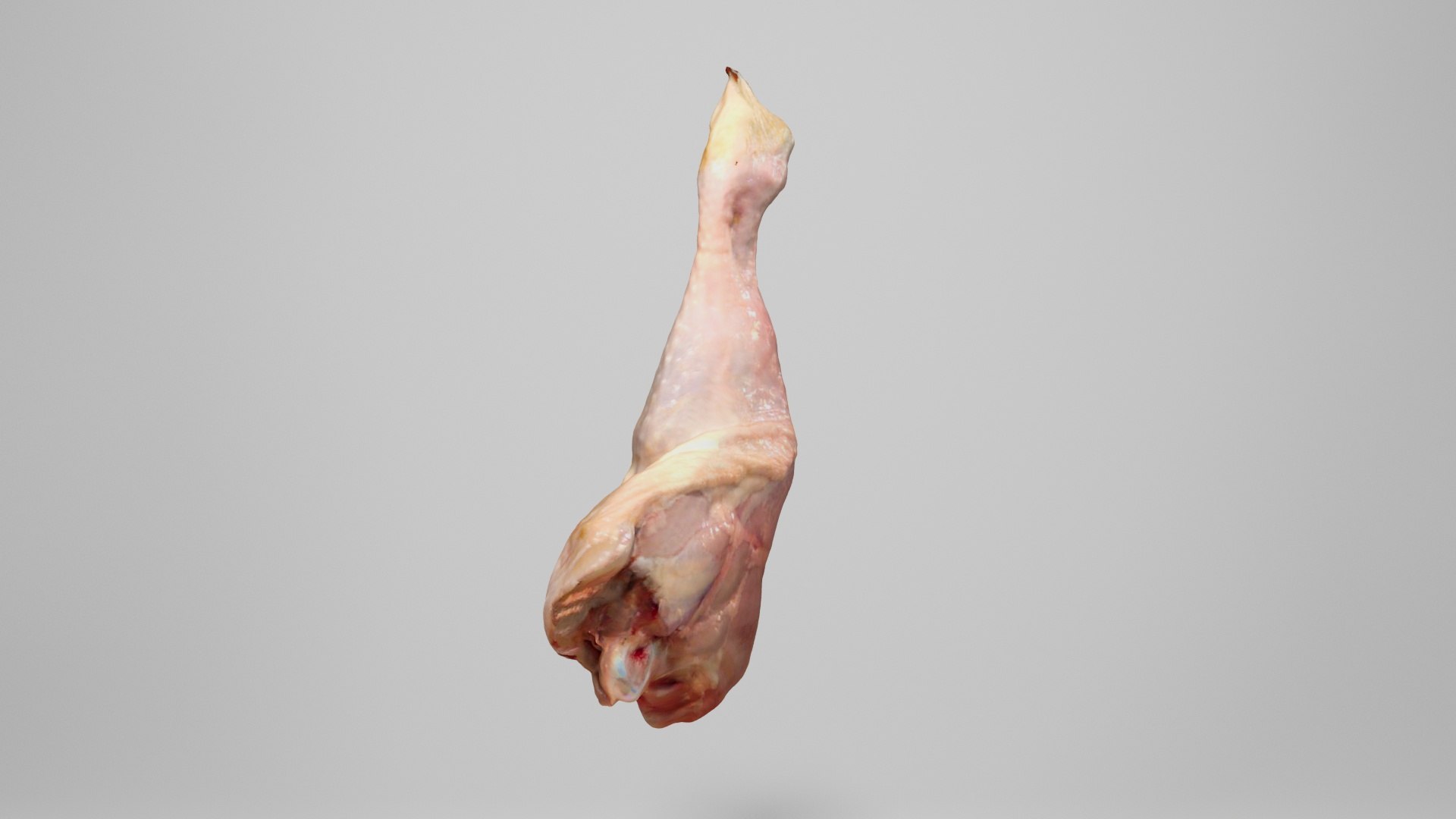 3D Raw Chicken Drumstick 3D Model Model - TurboSquid 2291273
