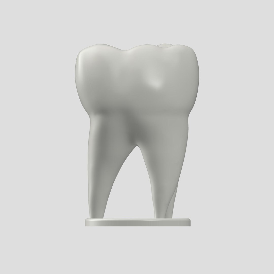 Money Tooth - Big Model - TurboSquid 2115027