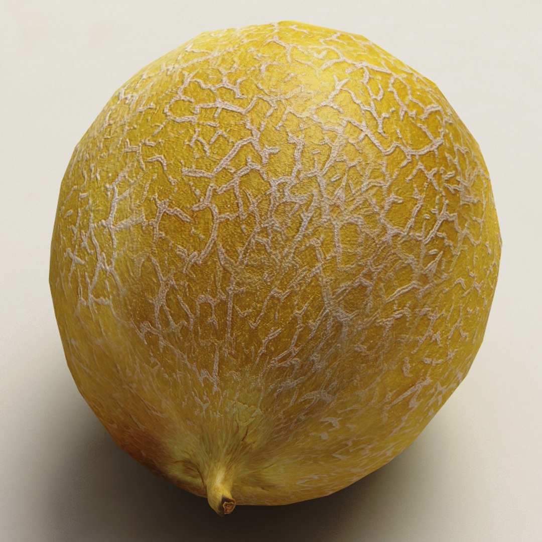 3d Melons Modelled Model