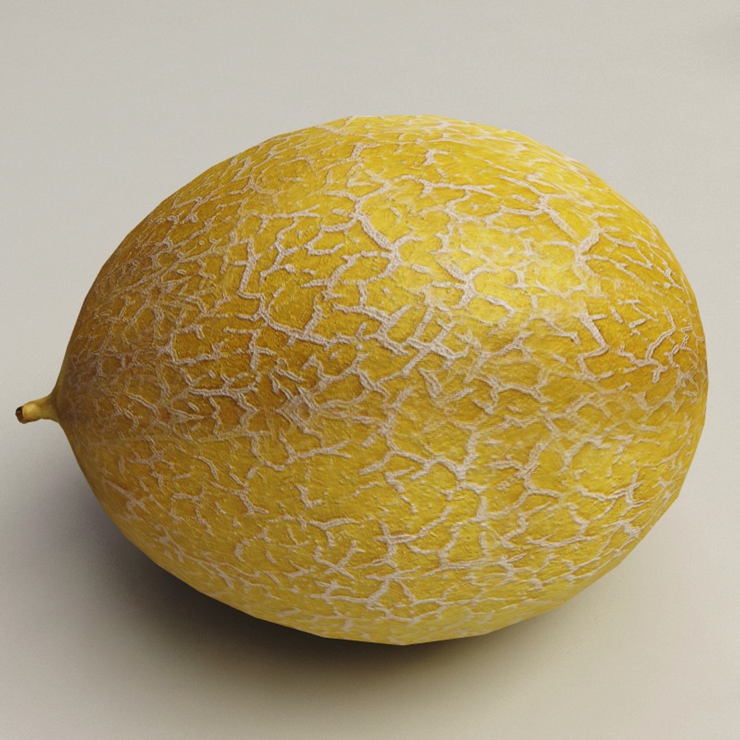 3d Melons Modelled Model