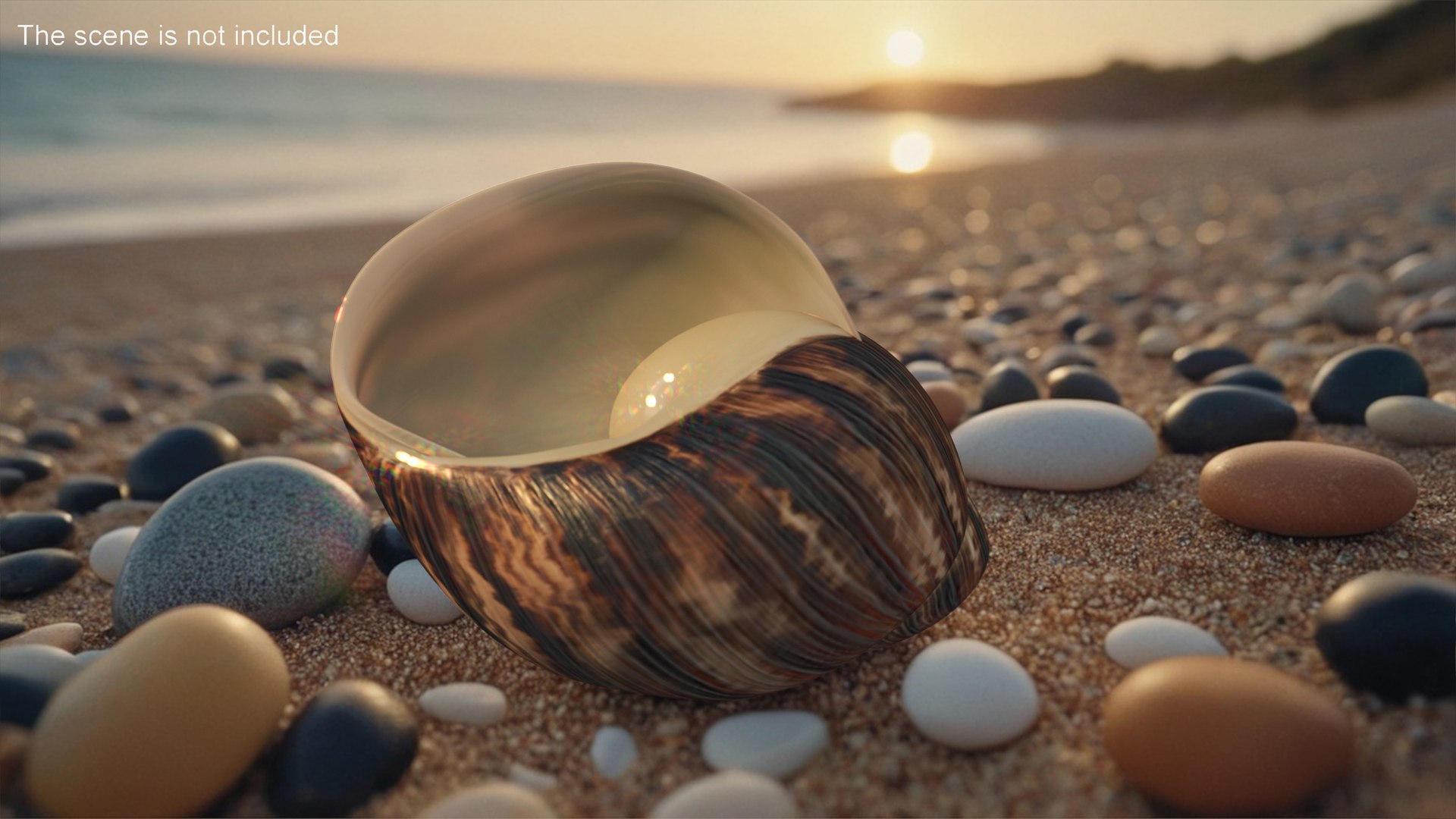 3D Slug With Shell Collection - TurboSquid 2299502