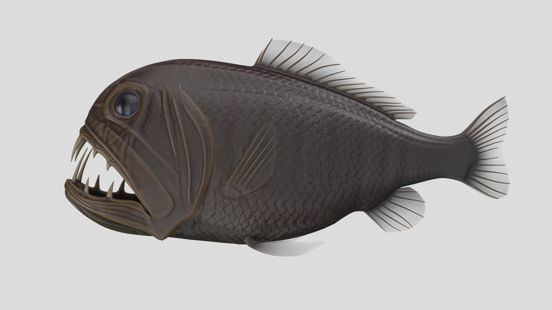 Fangtooth Fang Tooth 3D - TurboSquid 1650207