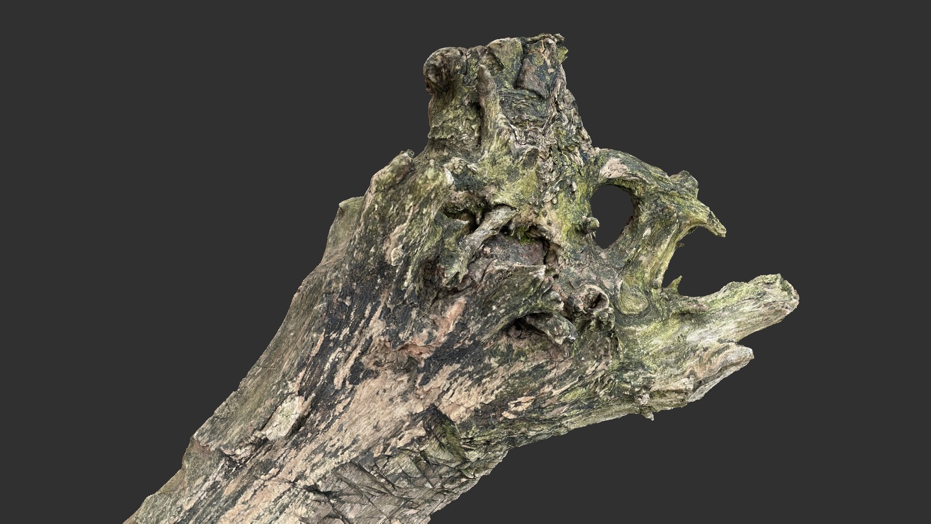 3D Withered Tree Trunk 3d Scan - TurboSquid 2148542
