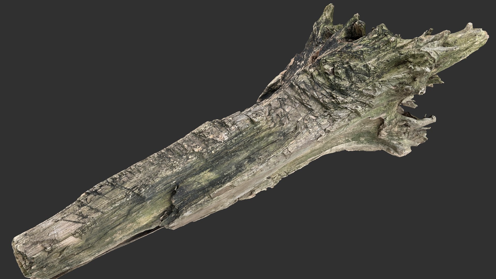 3D Withered Tree Trunk 3d Scan - TurboSquid 2148542