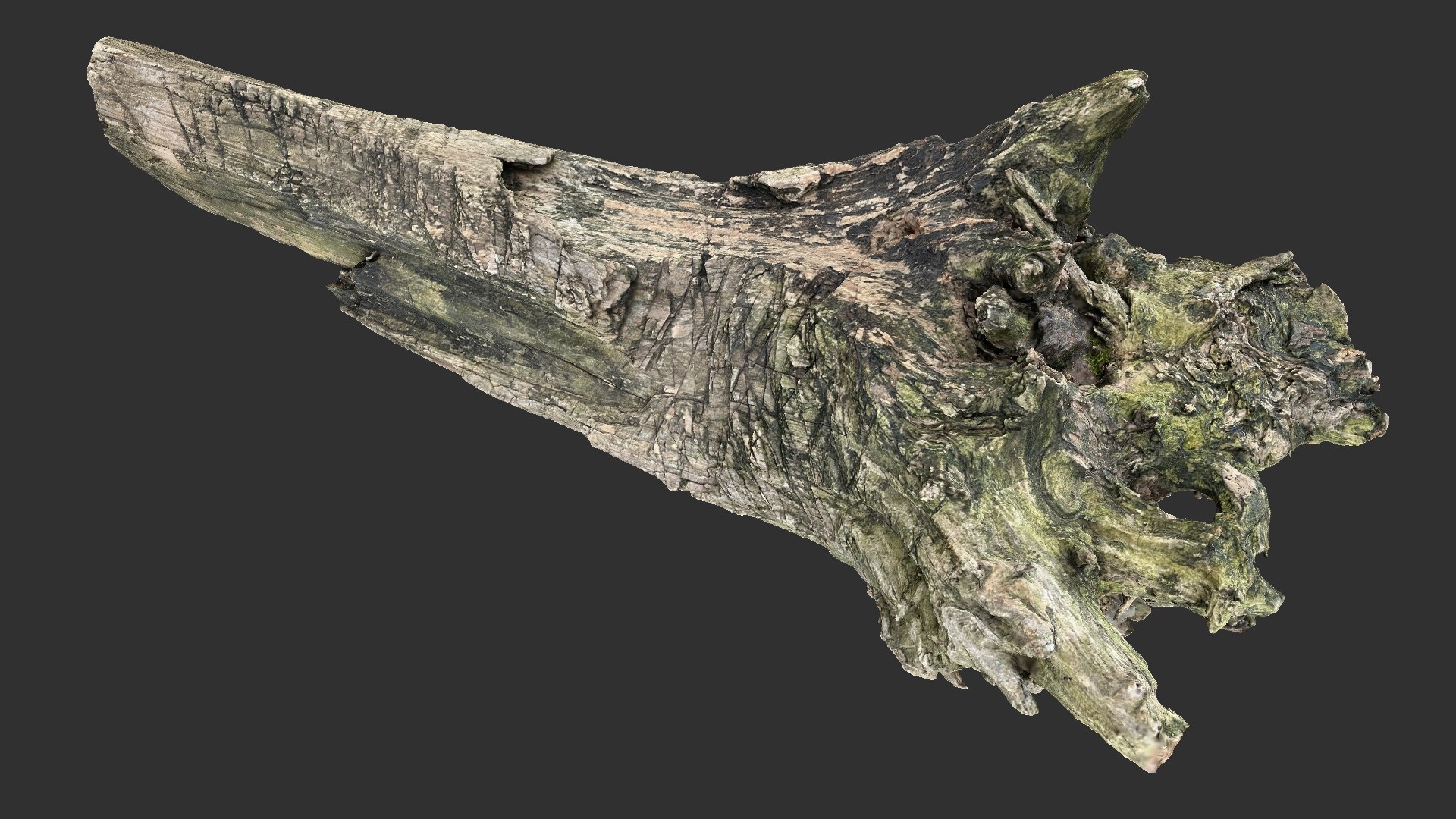 3D Withered Tree Trunk 3d Scan - TurboSquid 2148542