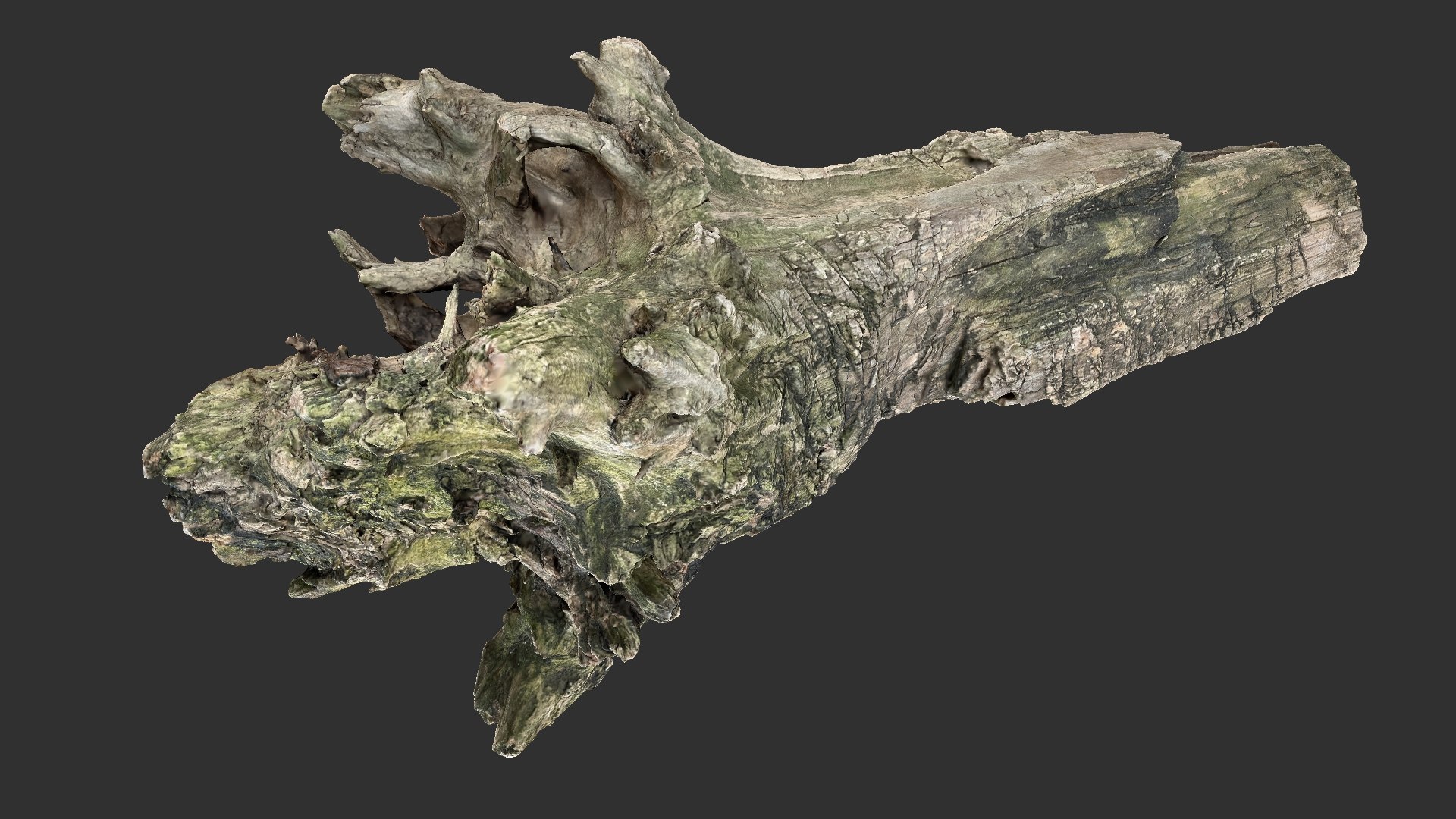 3D Withered Tree Trunk 3d Scan - TurboSquid 2148542