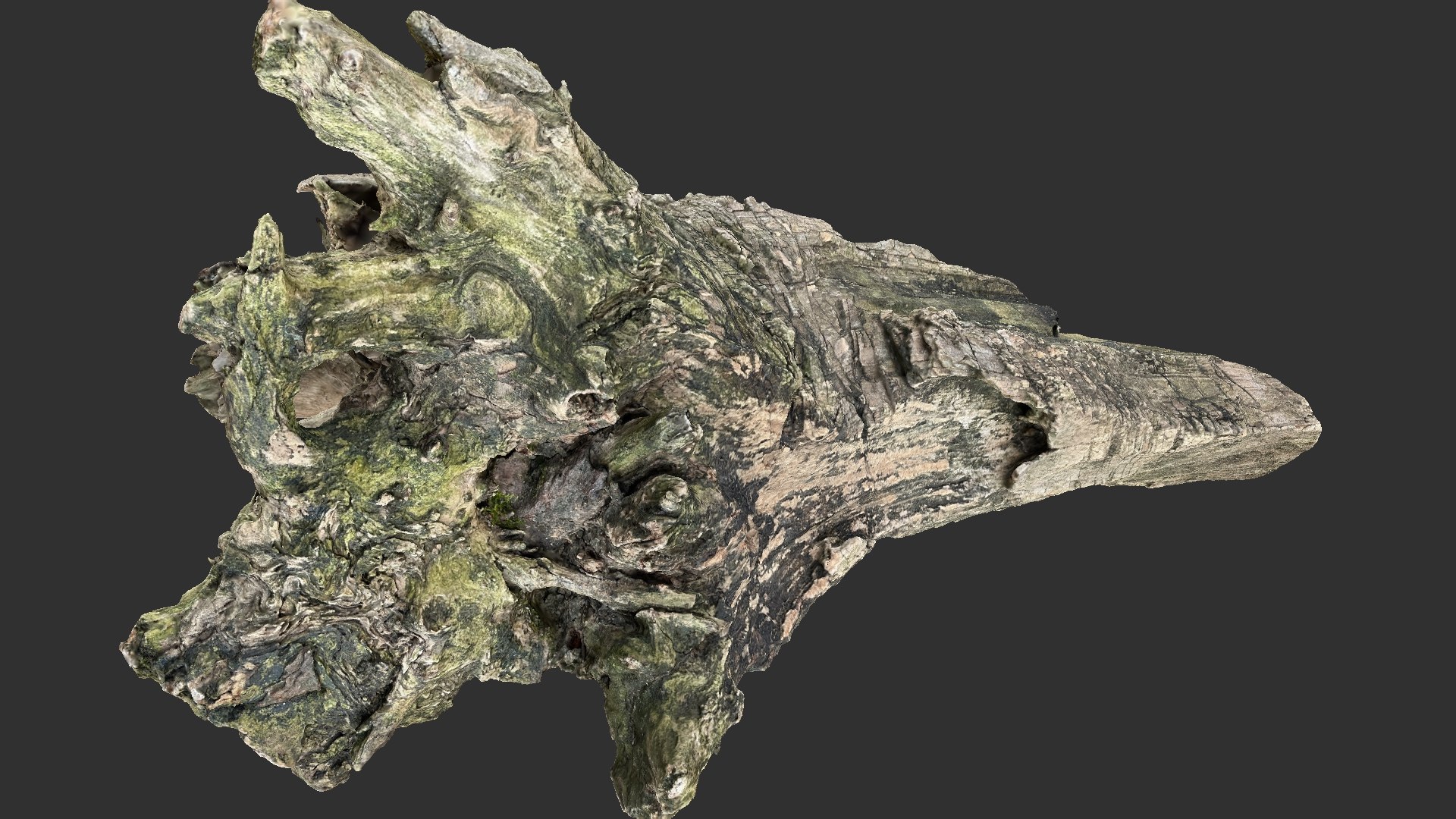 3D Withered Tree Trunk 3d Scan - TurboSquid 2148542