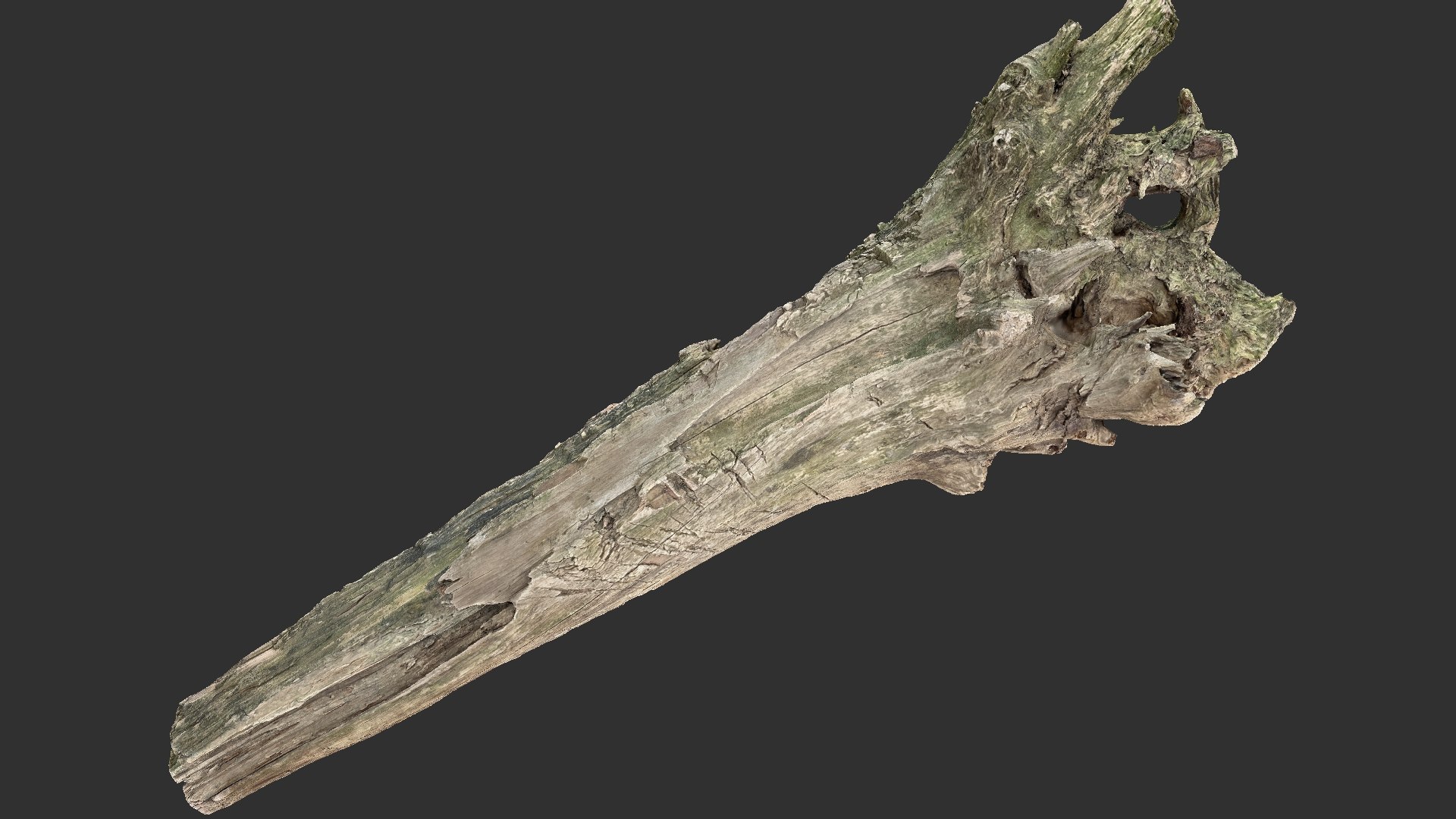 3D Withered Tree Trunk 3d Scan - TurboSquid 2148542
