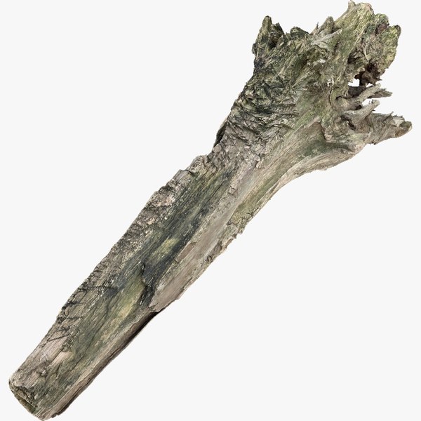 modelo 3d Escaneo 3d del tronco de un árbol marchito - TurboSquid 2148542