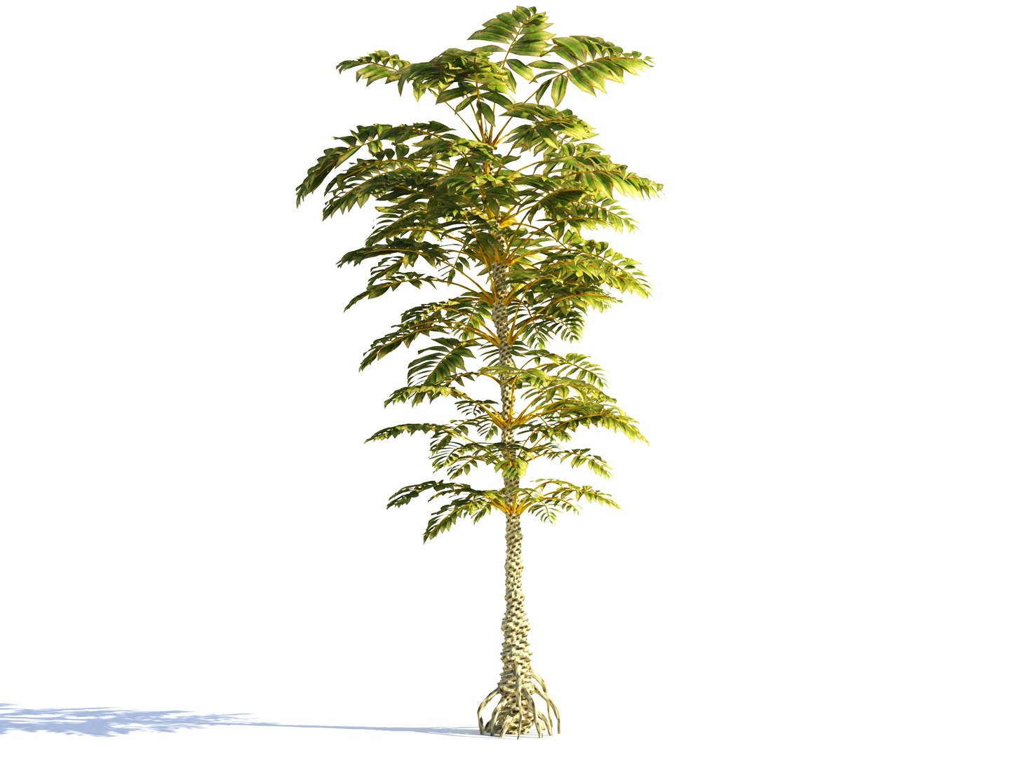 3D Prehistoric Plants Tree Model - TurboSquid 1674404