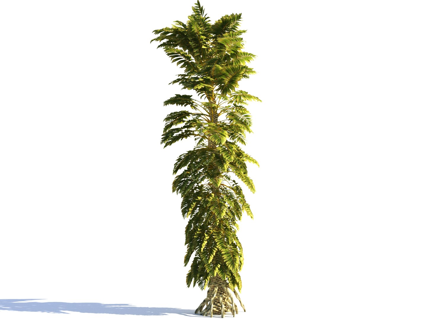 3D Prehistoric Plants Tree Model - TurboSquid 1674404