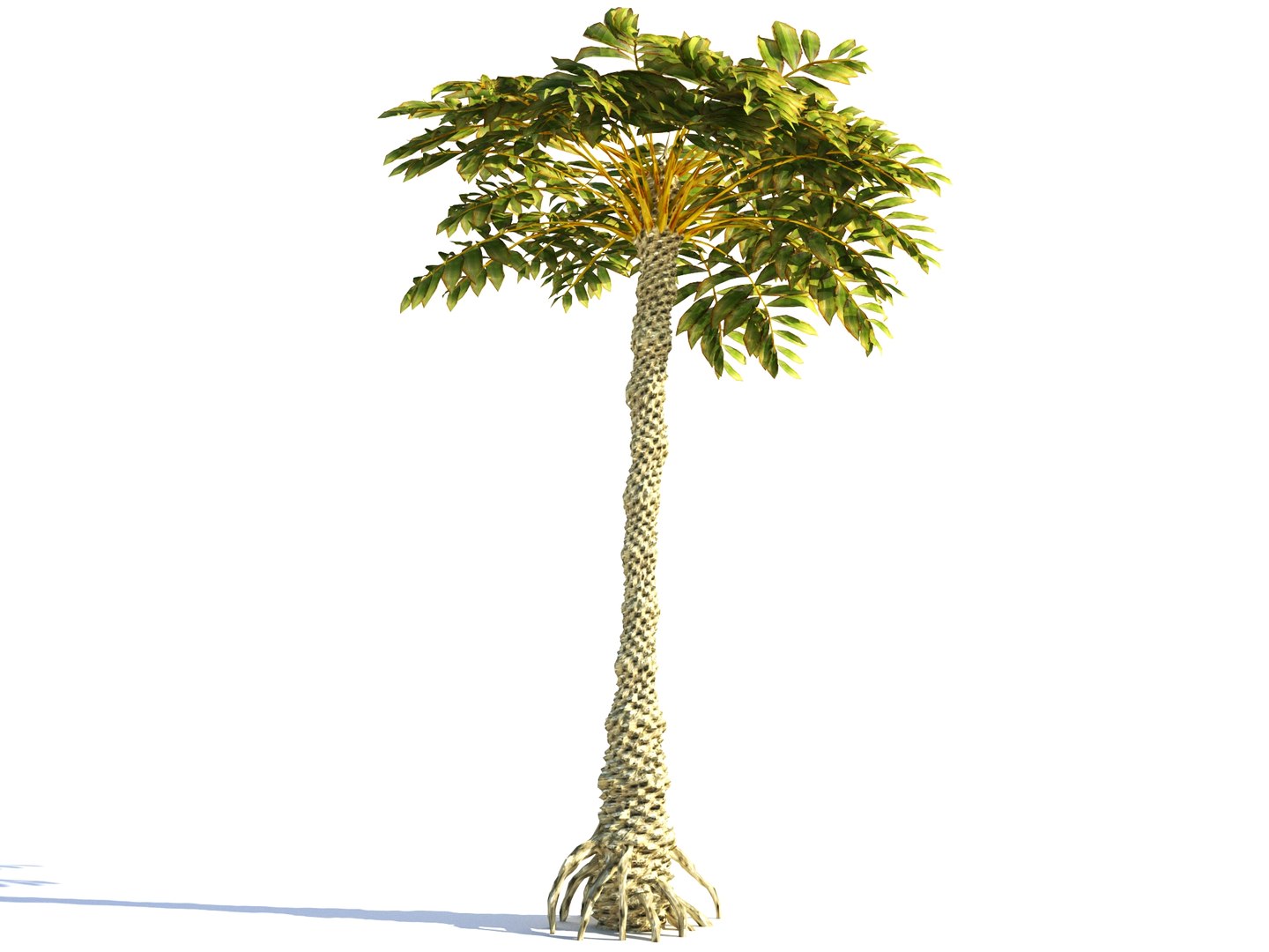 3D Prehistoric Plants Tree Model - TurboSquid 1674404