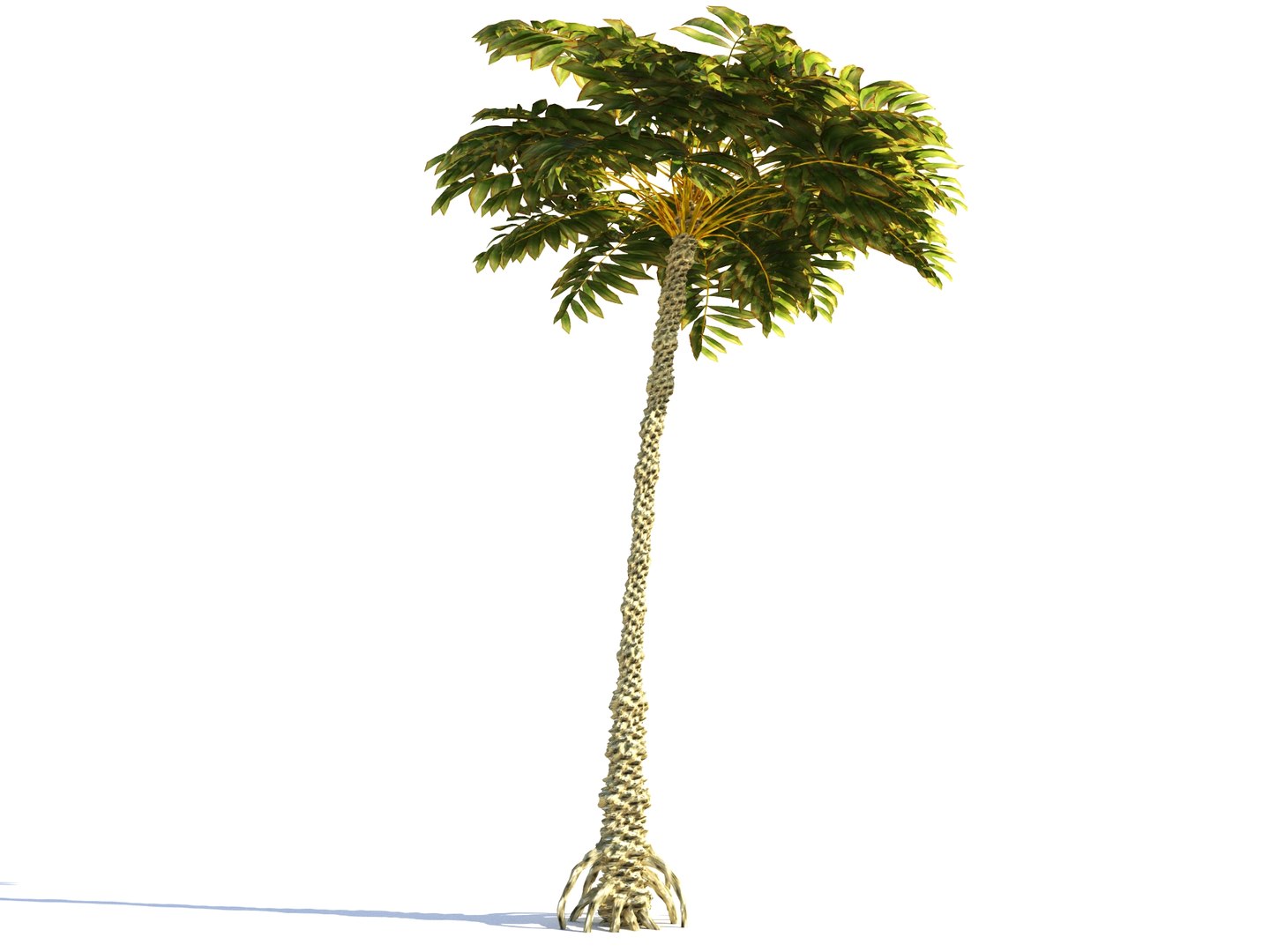 3D Prehistoric Plants Tree Model - TurboSquid 1674404
