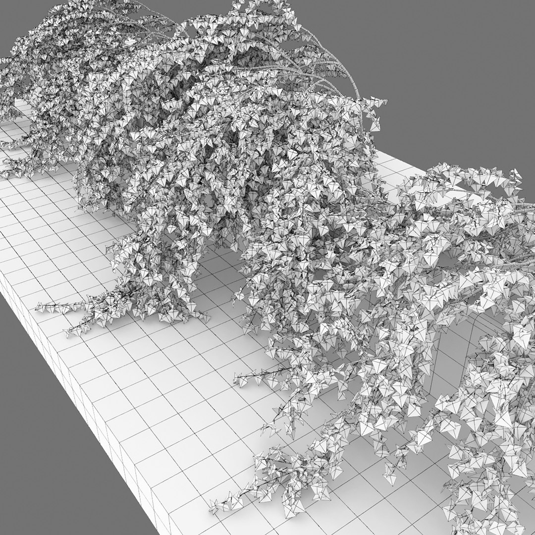 Bush Shrub Nature 3D Model - TurboSquid 1673440