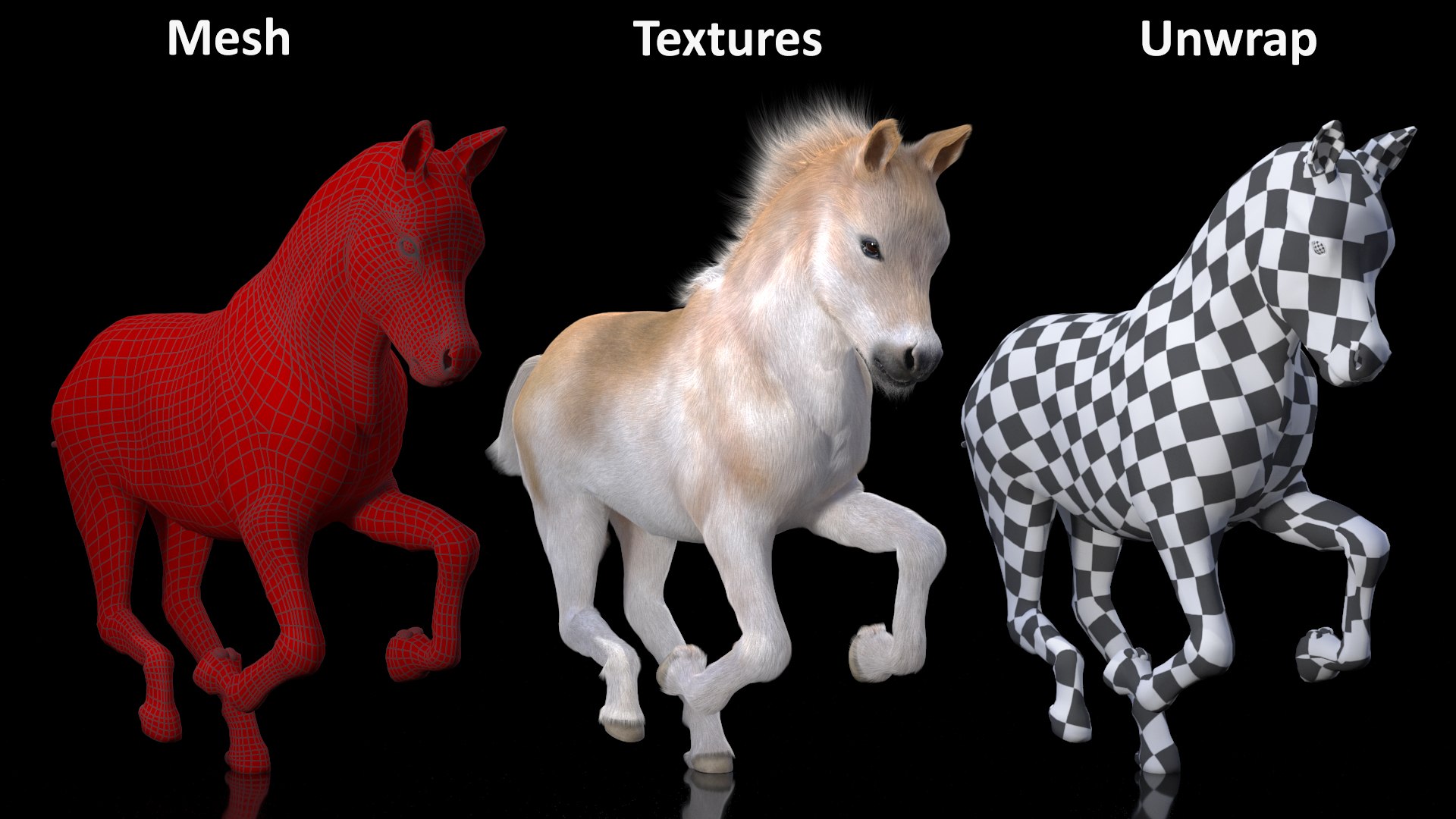 3D Galloping Shetland Pony Fur - TurboSquid 2234465