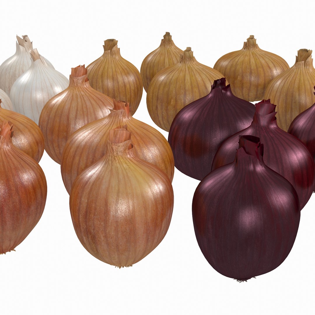 3ds max onion