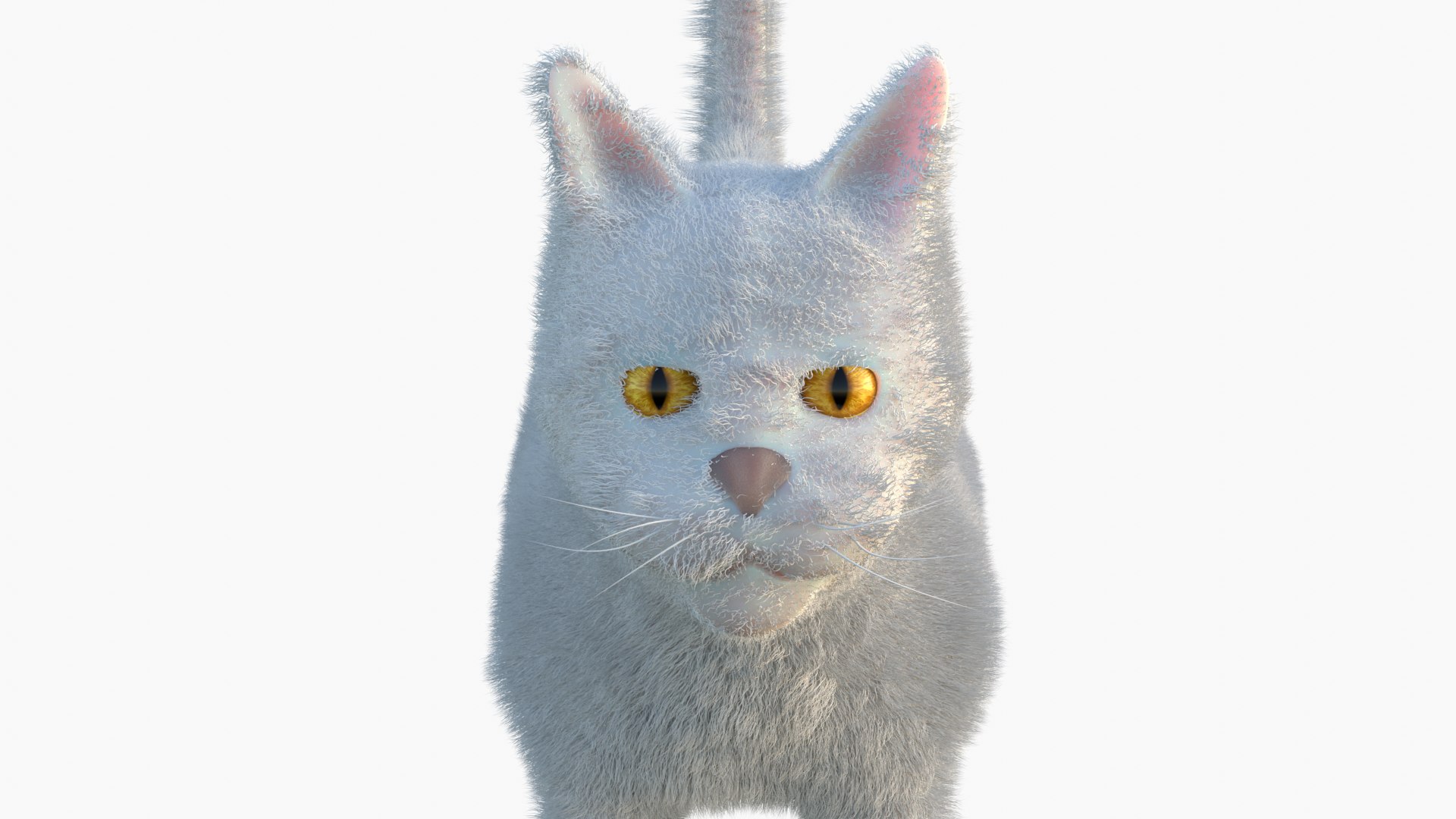 3D White Cat Model - TurboSquid 2225379