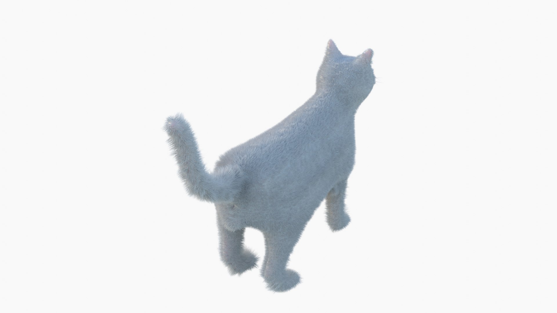 3D White Cat Model - TurboSquid 2225379