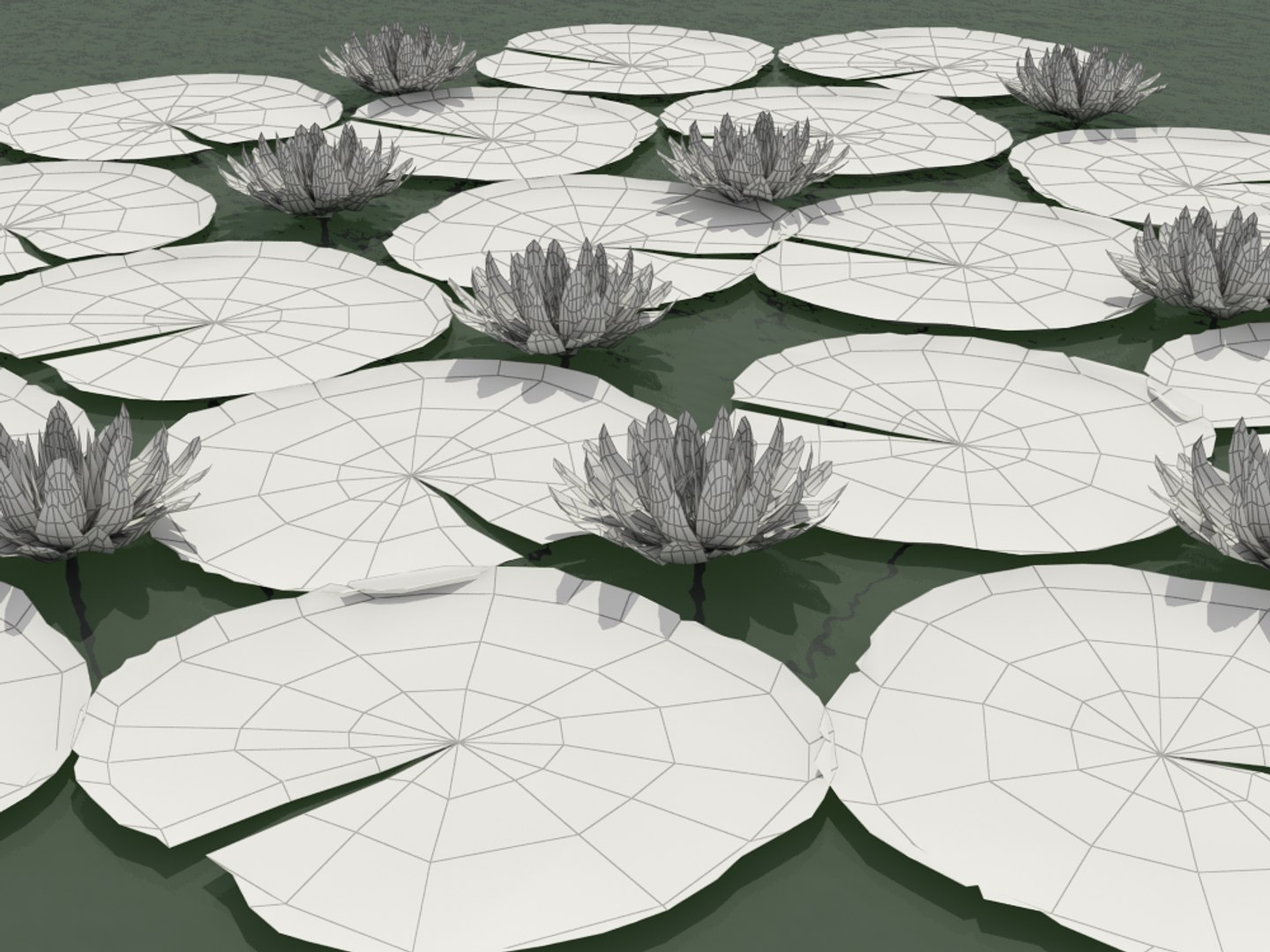 3d Model Water Lily