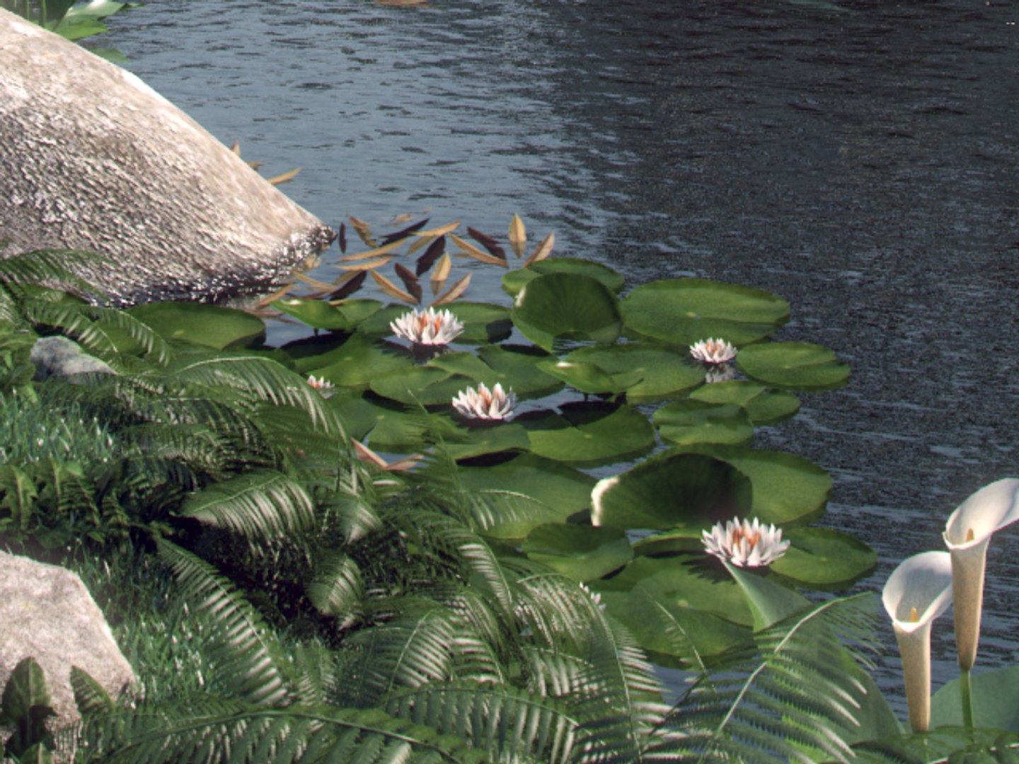 3d Model Water Lily