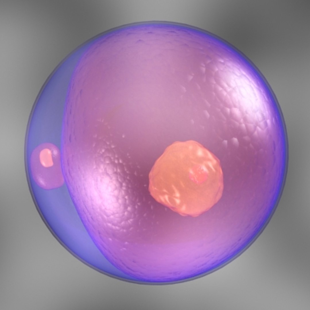 3d Model 20 Micro Objects Set