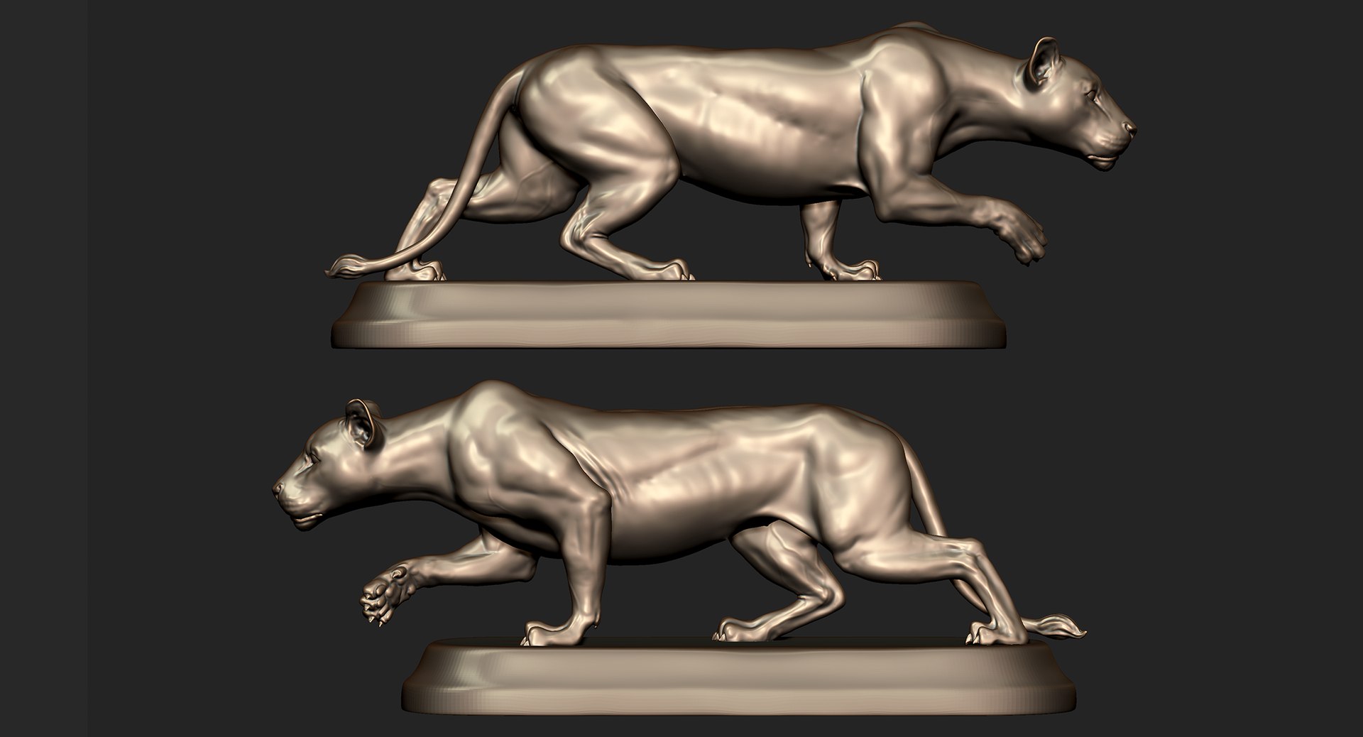 Lioness 3D model - TurboSquid 1938051