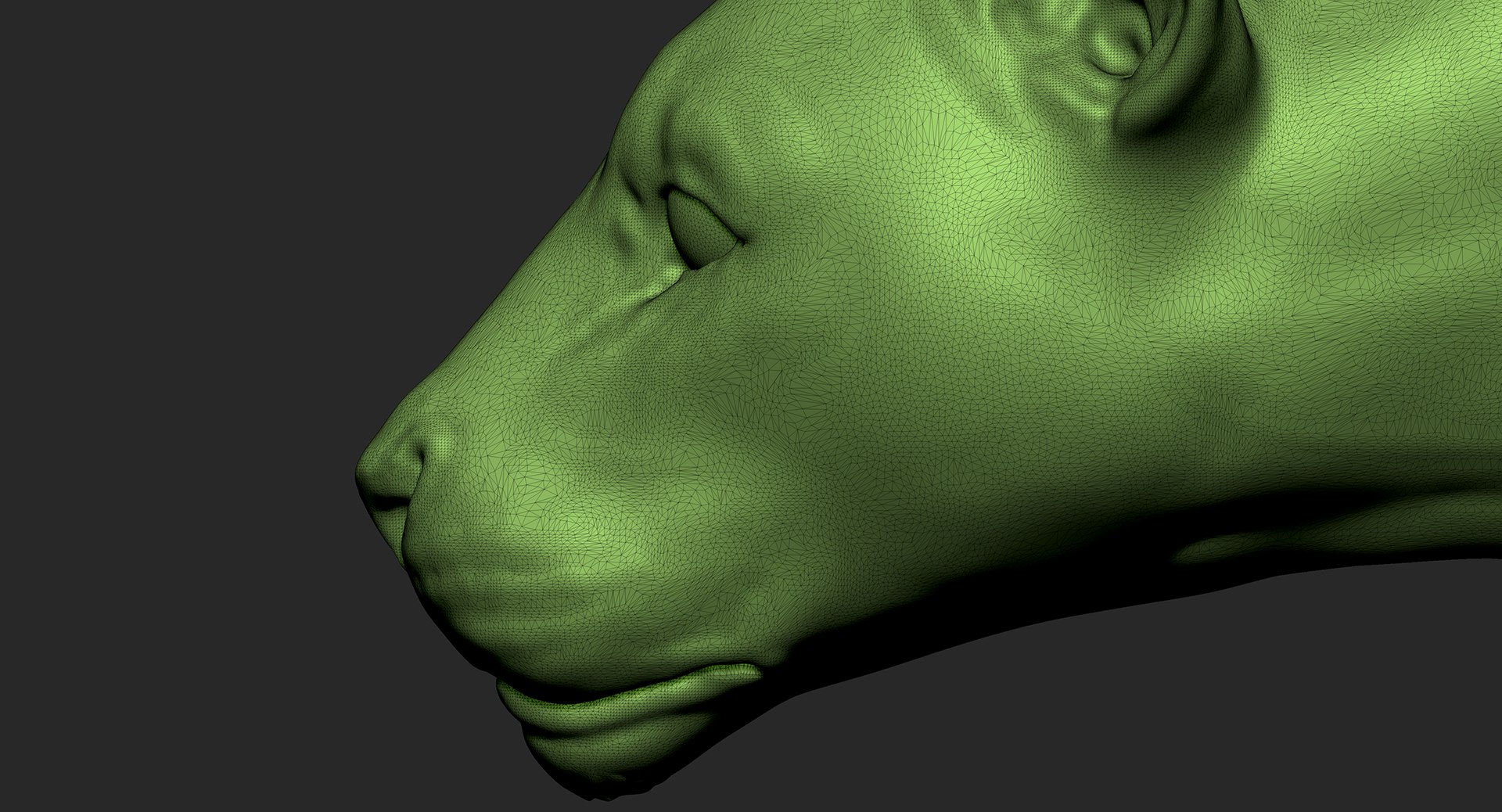 Lioness 3D model - TurboSquid 1938051