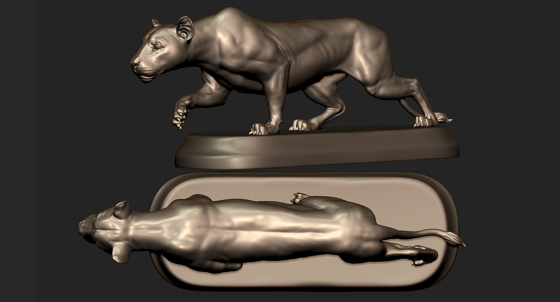 Lioness 3D model - TurboSquid 1938051