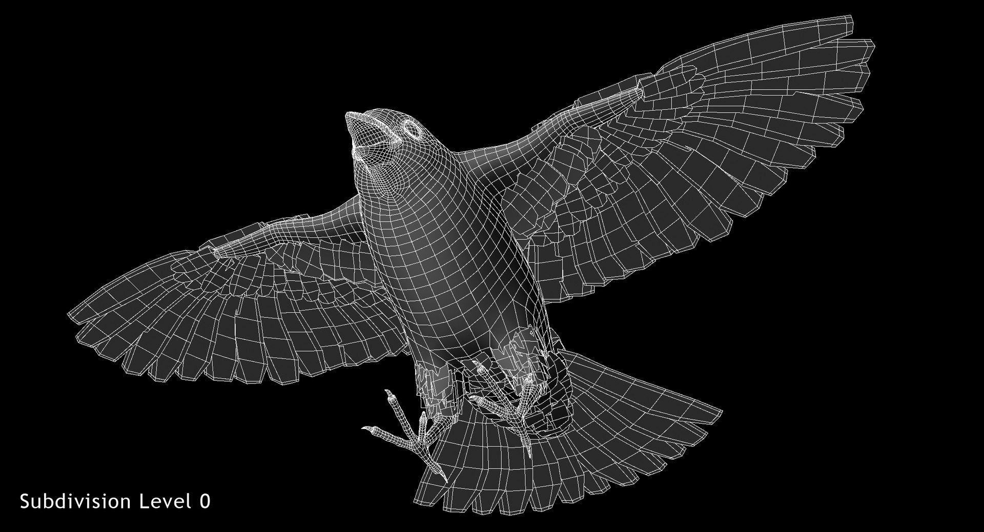 Dark-eyed junco animation eye 3D model - TurboSquid 1182146