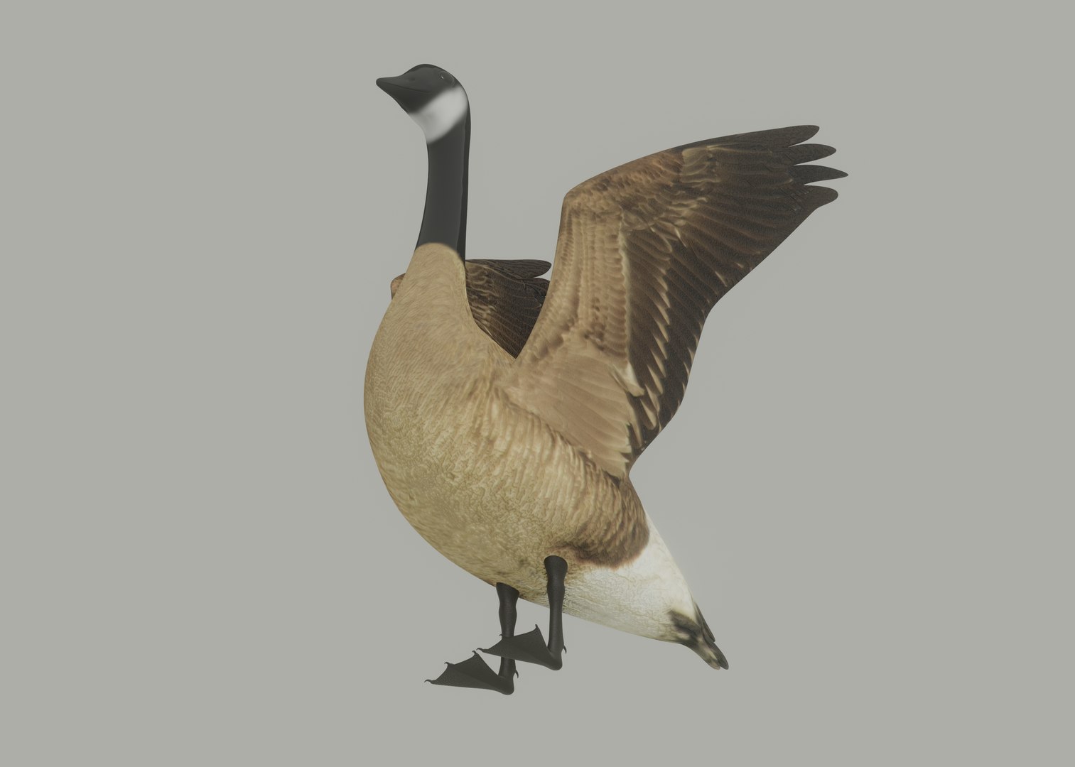 3D Goose Model - TurboSquid 2198837