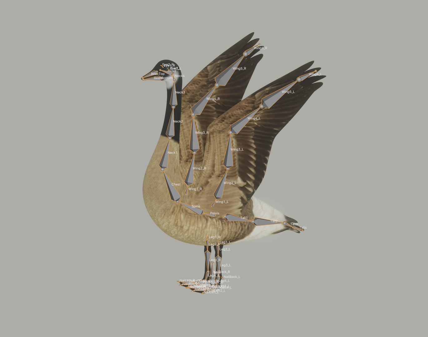 3D Goose Model - TurboSquid 2198837