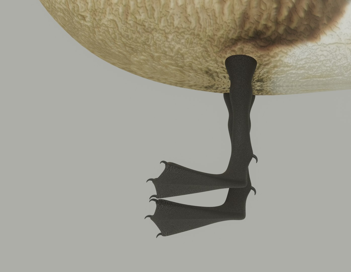 3D Goose Model - TurboSquid 2198837