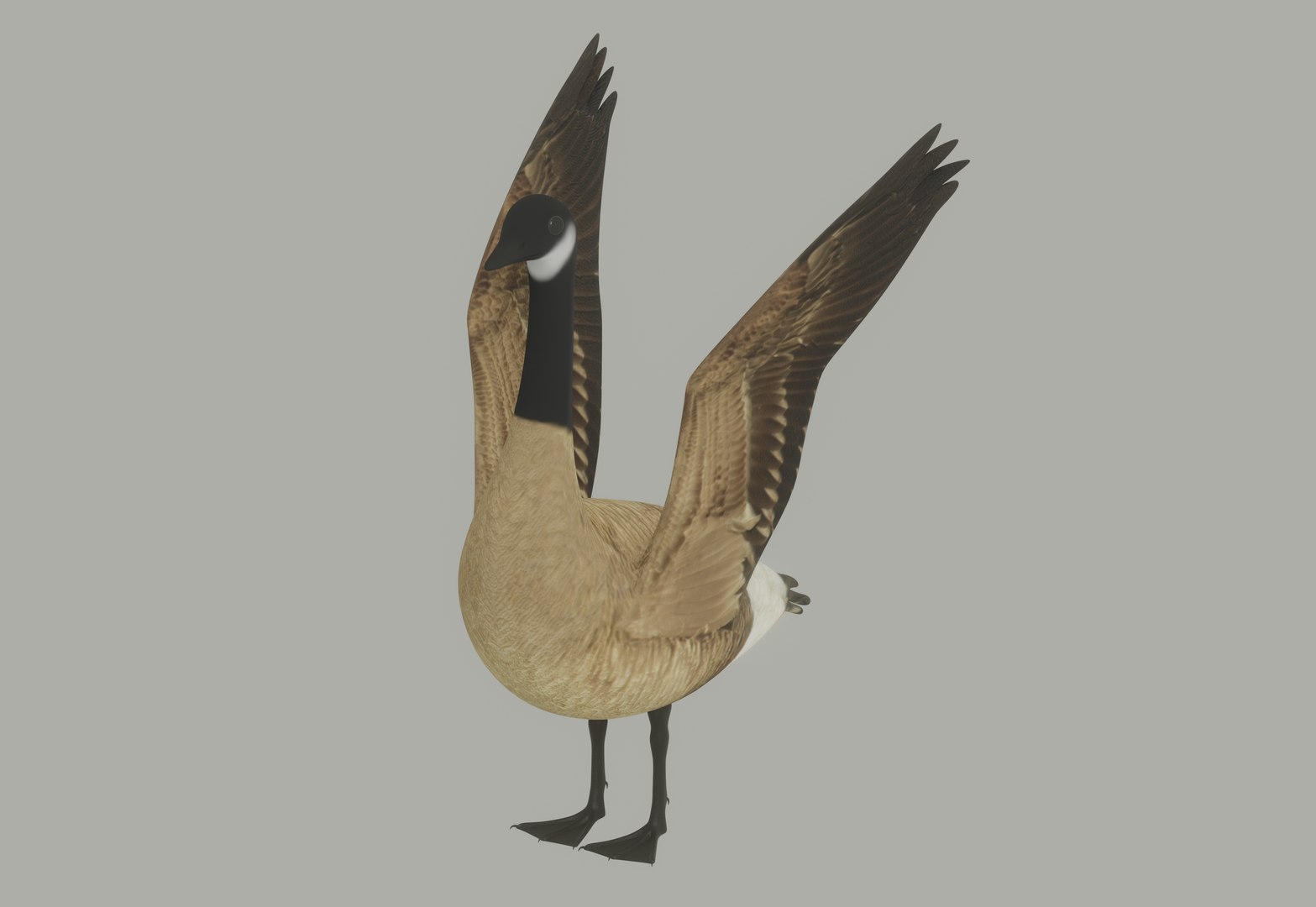 3D Goose Model - TurboSquid 2198837