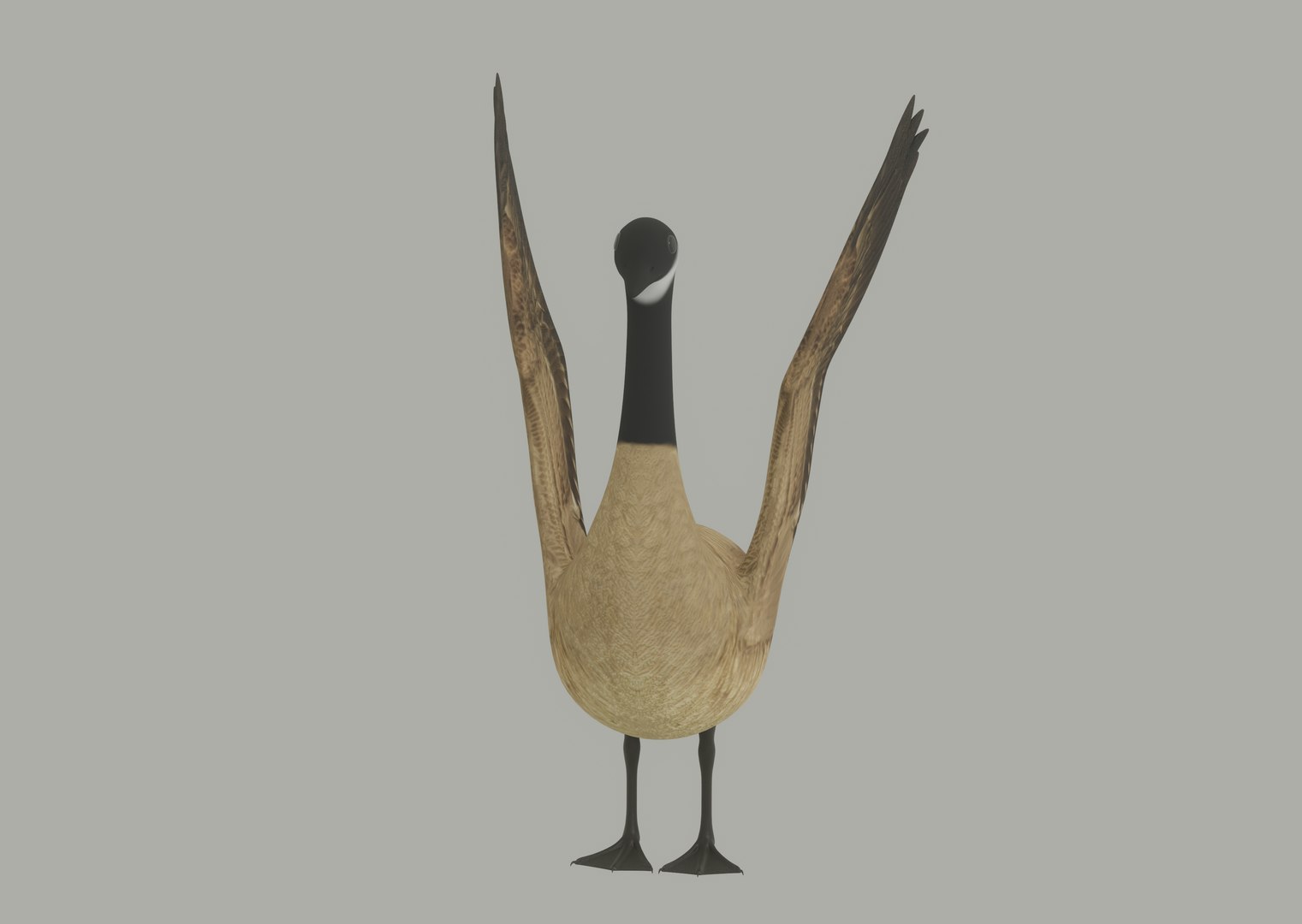 3D Goose Model - TurboSquid 2198837