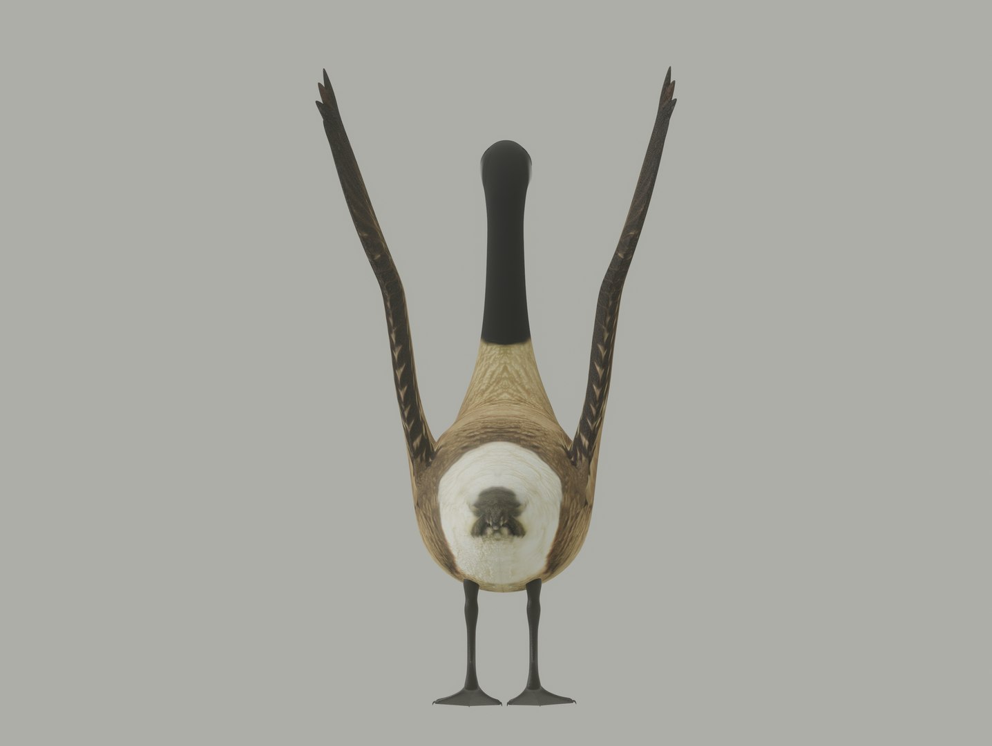 3D Goose Model - TurboSquid 2198837