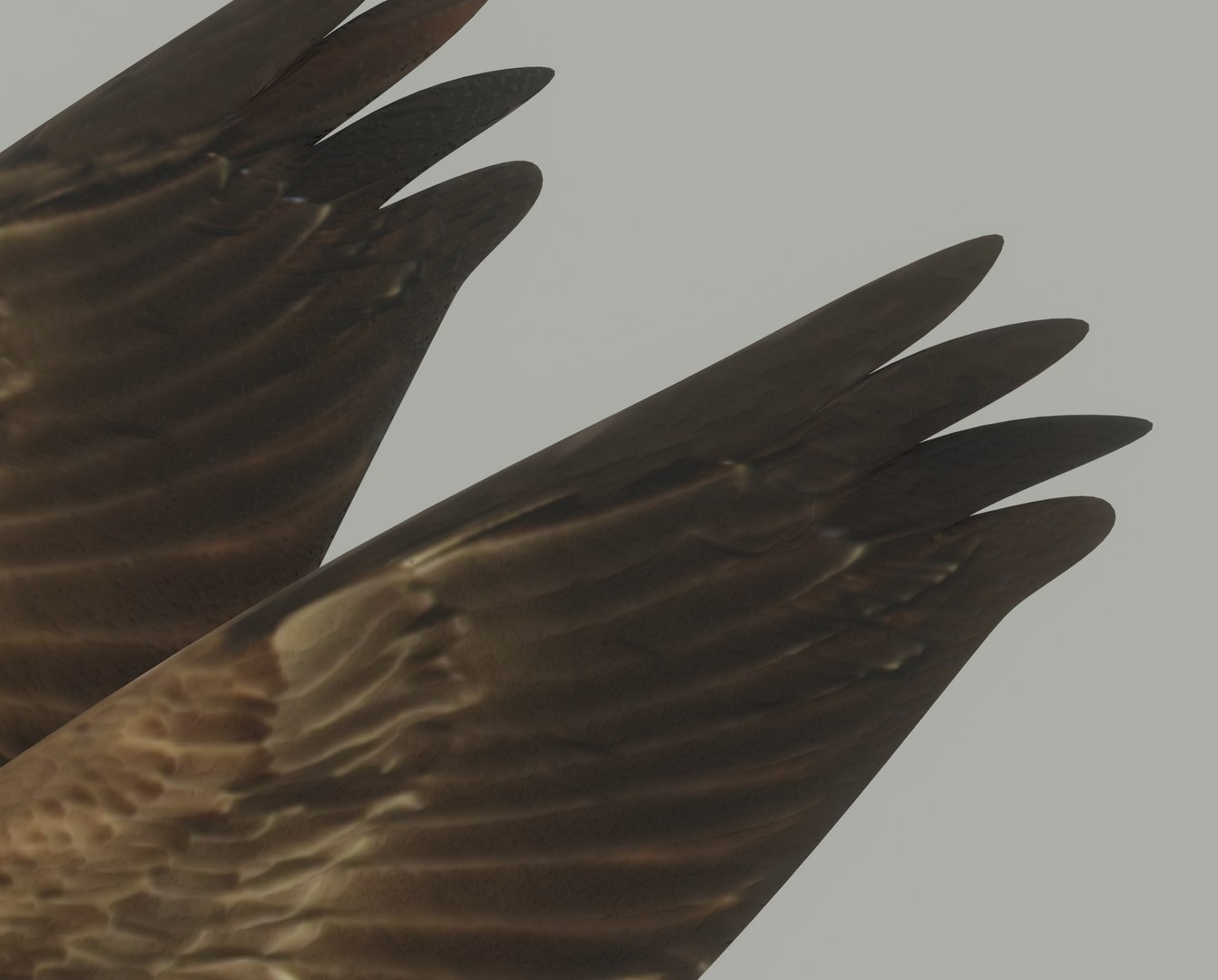 3D Goose Model - TurboSquid 2198837