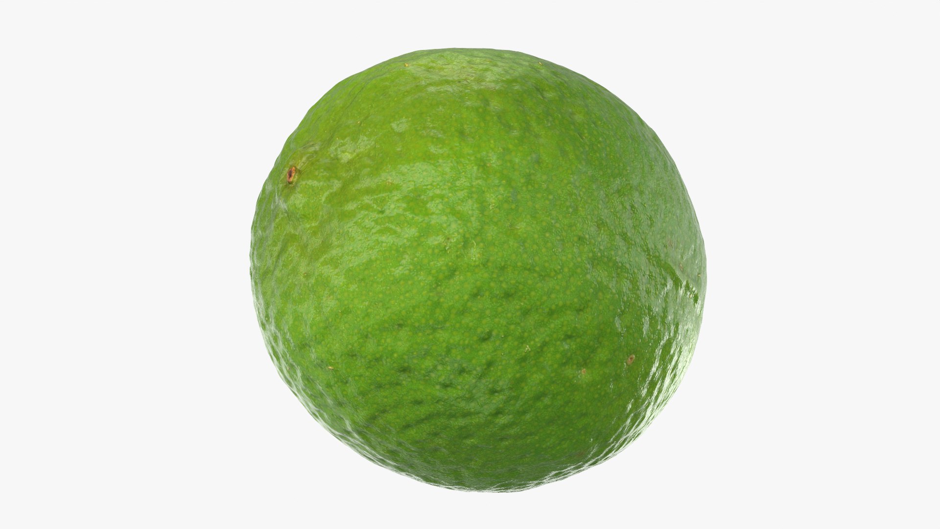 Lime 3D Model - TurboSquid 2420501