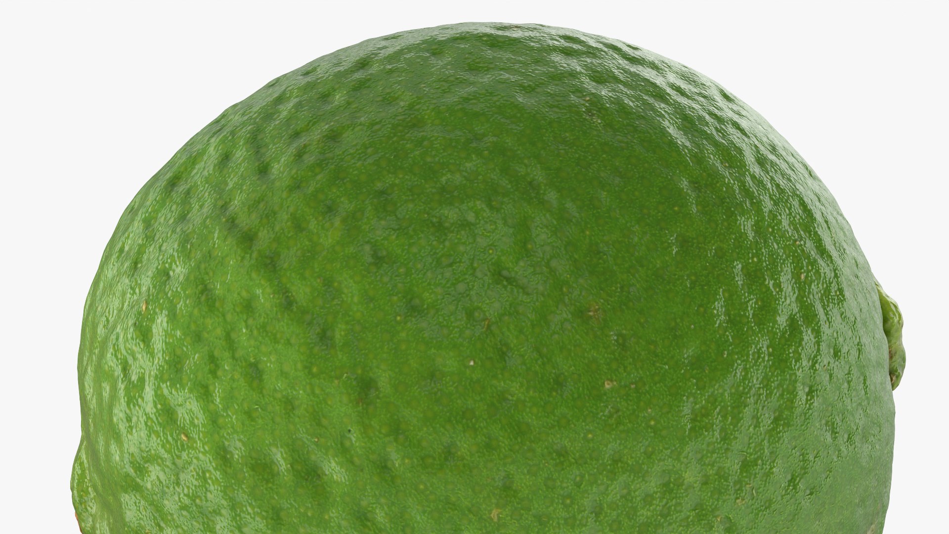 Lime 3D Model - TurboSquid 2420501