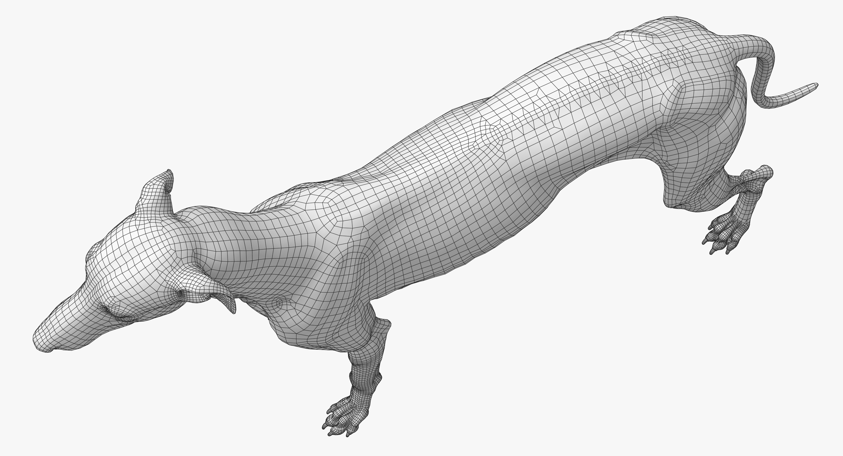 3D realistic greyhound model - TurboSquid 1413263